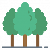 TRON Forest - Dapp Overview, Analytics, and Data | DappRadar